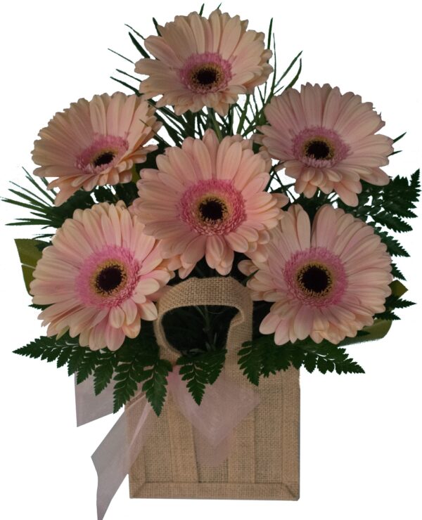 Gloria Flowers | Premium Gerberas Floral Arrangement | Flowers In A Box ...