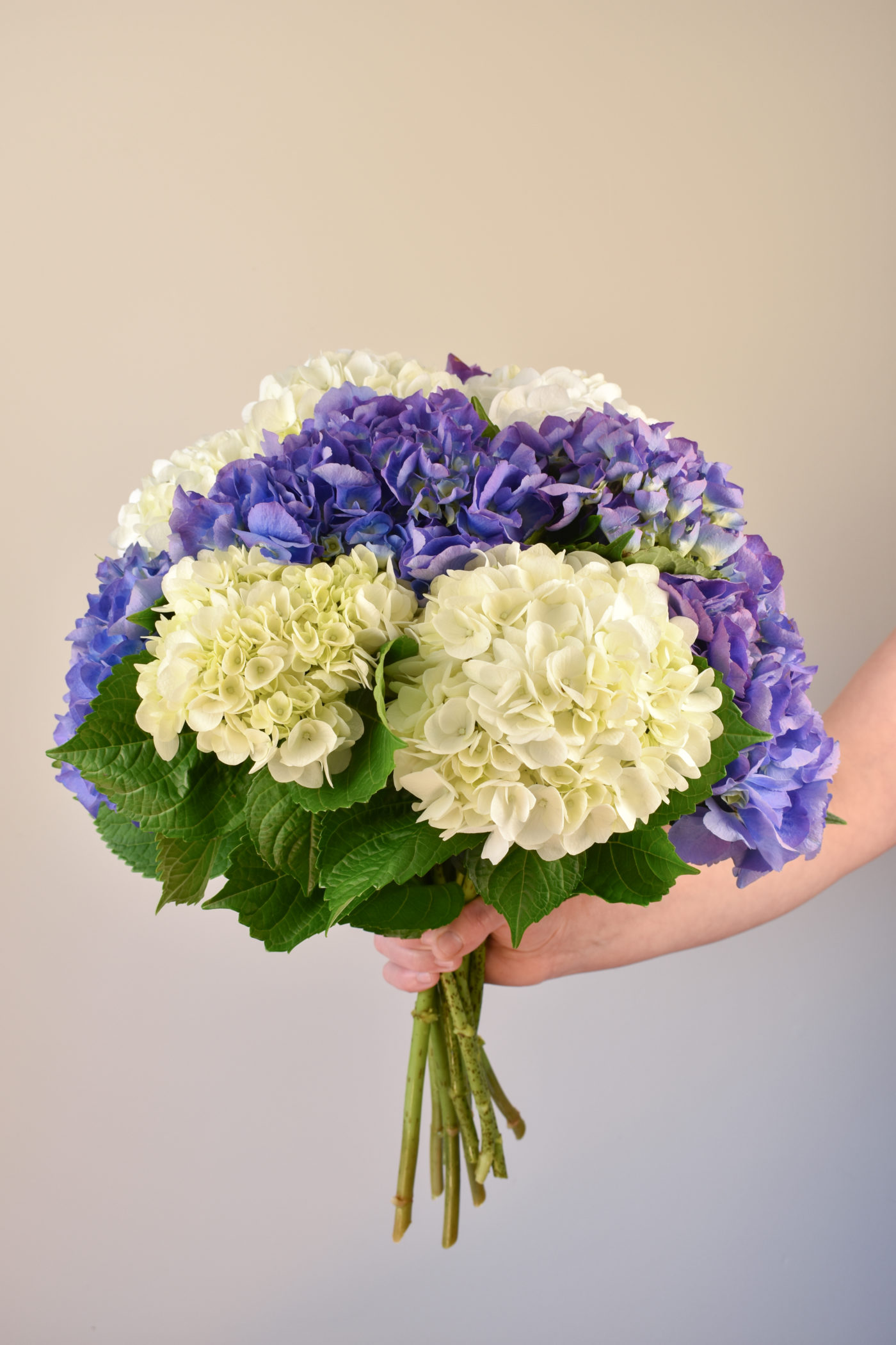 Bouquets Australia | Flower Bouquets | Flower Arrangements Scentsation ...