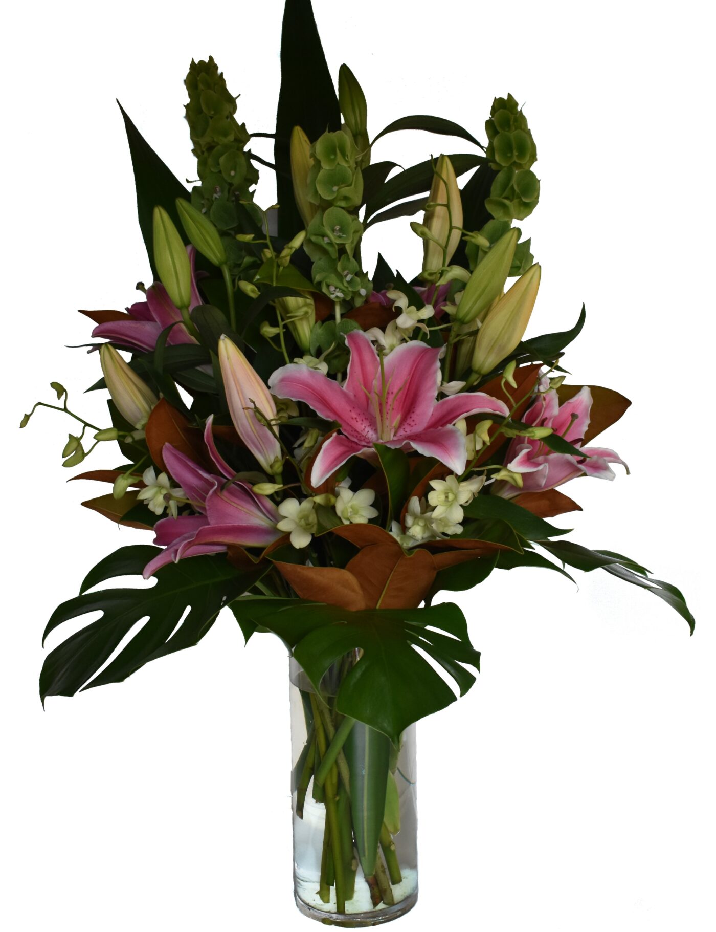 Stella - Flower Scentsation