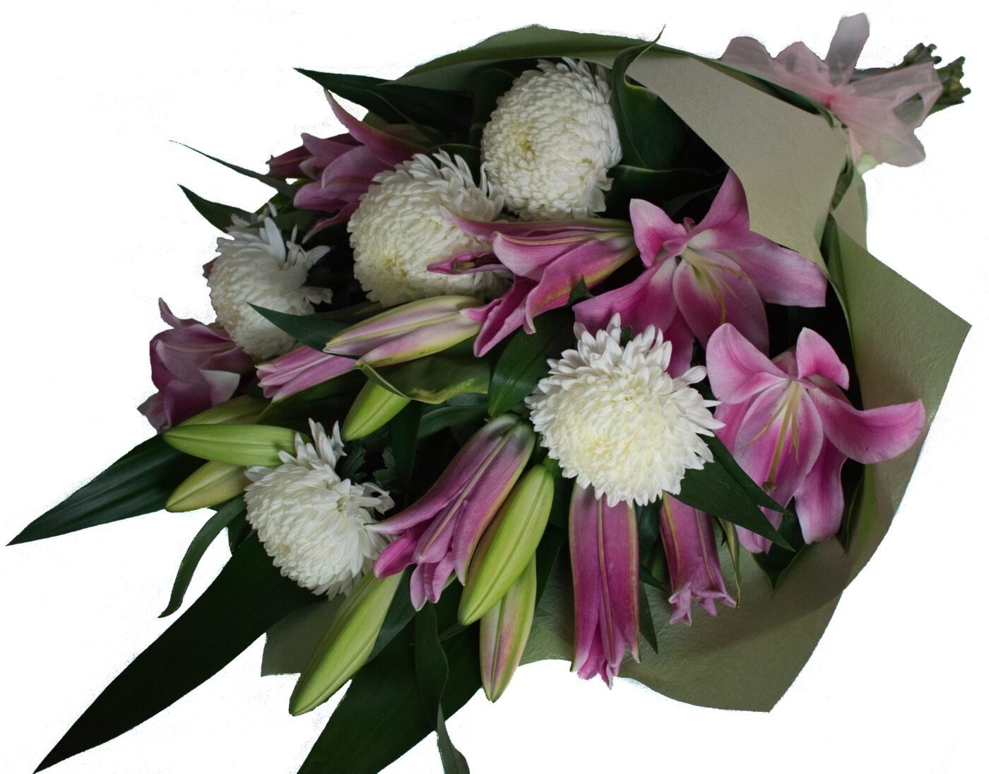 Scarlett Flowers | Oriental Lilies and Disbuds | Oriental Lilies ...