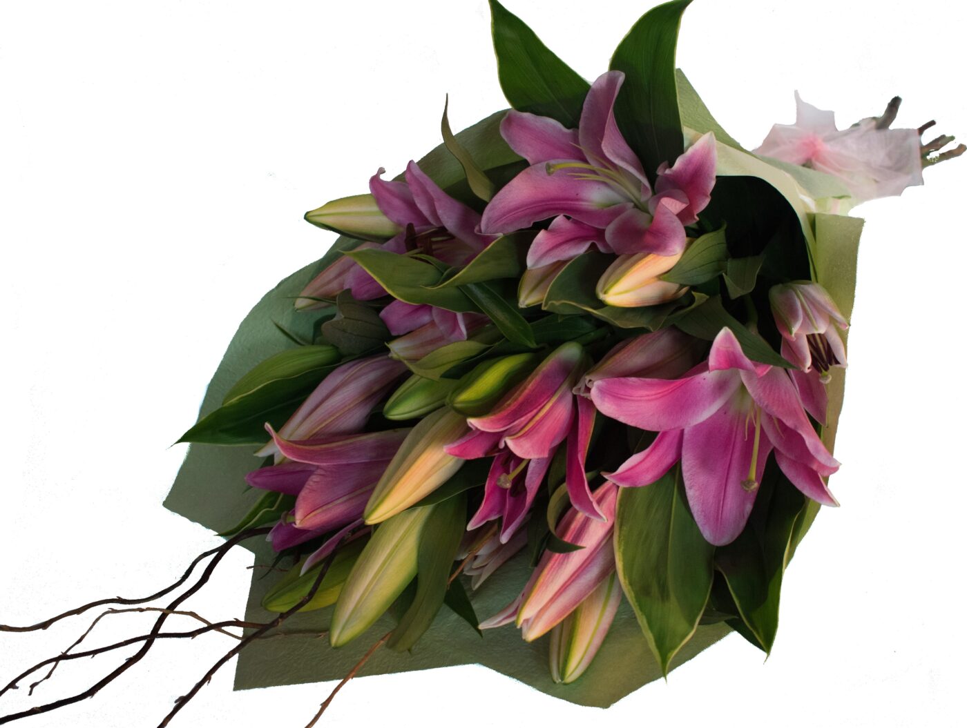 Lisa Flower Bouquet | Lily Plant Bouquet | Flowers Foliage Arrangement ...